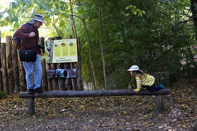 5 Positives Ways to Incorporate Circus Games into Play – Creative Parenting